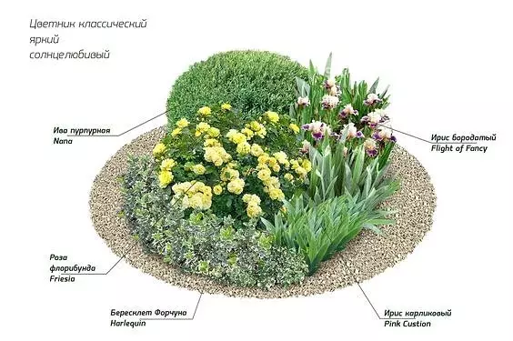 Canteiro redondo de plantas perenes de floração contínua no país com suas próprias mãos 261_9