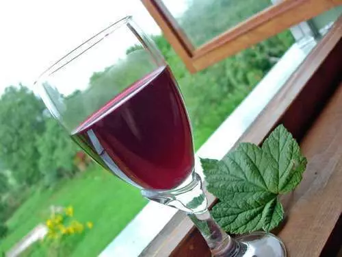 Vinho de folhas de groselha em casa: uma receita 2642_2