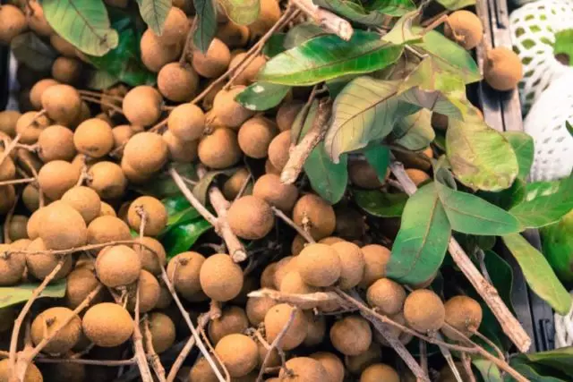 Froita Longan: propiedades útiles e contraindicacións, que sabor, contido calórico 2832_11