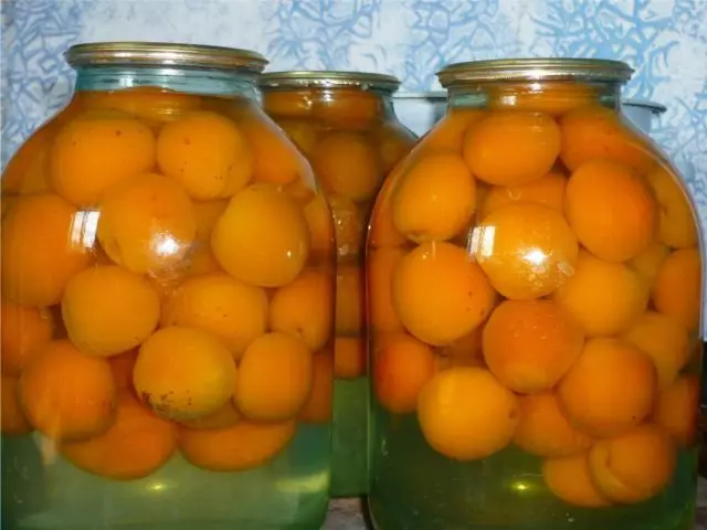 Apricot Compote: famaritana ny karazany, sary, hevitra, fanoherana ny fanala, mpandoto. 2903_3