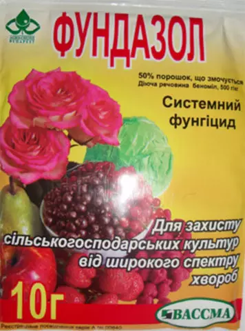 Chuông Carpathian: ảnh trong thiết kế cảnh quan, giống, trồng và chăm sóc ngoài đồng 2937_13