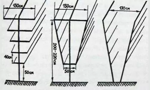 Trellis ya jordgubbar: jisaidie mwenyewe, garter, picha 2965_6