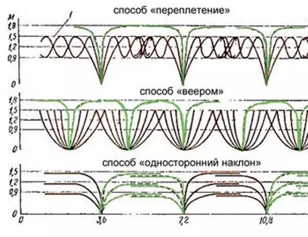 Trellis ya jordgubbar: jisaidie mwenyewe, garter, picha 2965_8