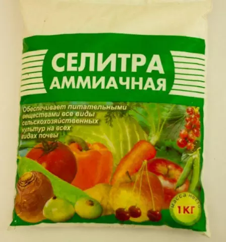 Чим підгодувати флокси: навесні, влітку, восени, під зиму, щоб були великі 3015_4