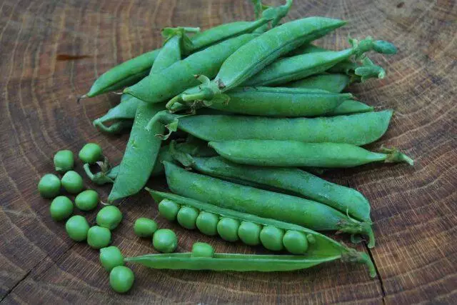 Peas Ambrosia: ការពិពណ៌នាពូជរូបថតការពិនិត្យឡើងវិញរបៀបដាំកម្ពស់ 3060_1