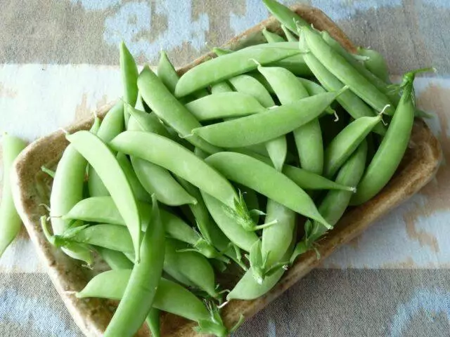 Peas Ambrosia: ការពិពណ៌នាពូជរូបថតការពិនិត្យឡើងវិញរបៀបដាំកម្ពស់ 3060_3