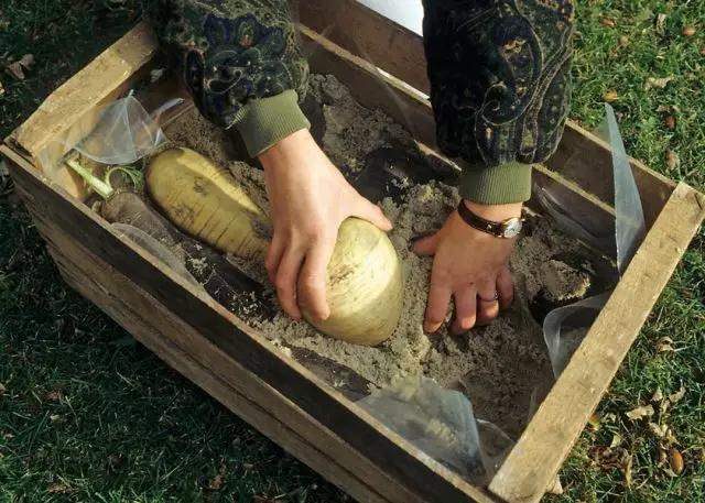 Como guardar daikon para o inverno: em casa, na adega 3072_3