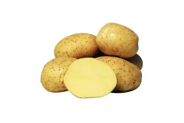 Potatoes Yana (Yanka): descrición da variedade, fotos, comentarios 3139_1