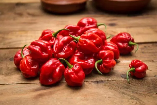 pepperາກພິກໄທ Habanero: ເຕີບໃຫຍ່ຢູ່ເຮືອນ, ຮູບພາບ, ຄວາມຮຸນແຮງຢູ່ໃນລະດັບ Scoville 3235_1