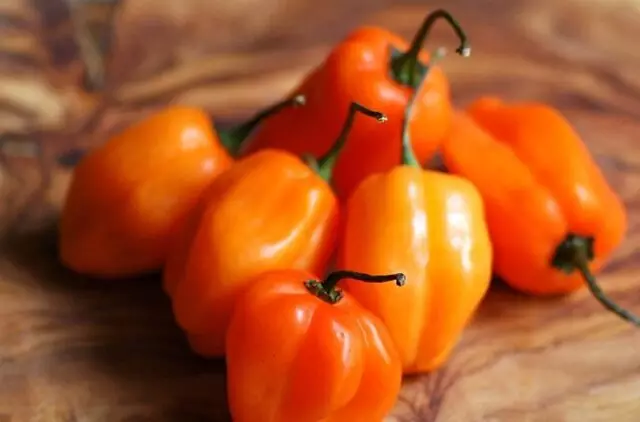 Ata Habanero: dagba ni ile, fọto, pungency lori iwọn Scoville 3235_7