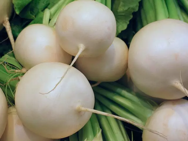 Radish: inyungu zubuzima nibibi 3267_2