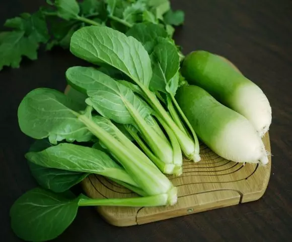 Radish: inyungu zubuzima nibibi 3267_3