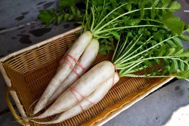 Daikon: ຜົນປະໂຫຍດແລະເປັນອັນຕະລາຍຕໍ່ຮ່າງກາຍ 3268_1