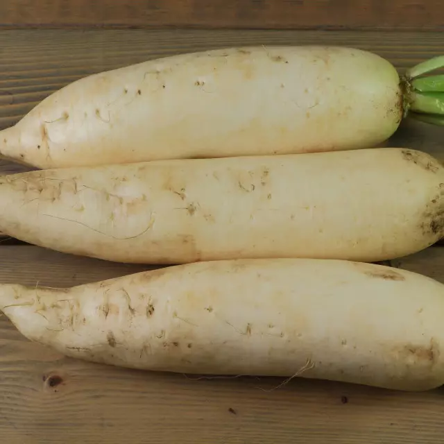 Daikon: manpaat sareng ngarugikeun awak 3268_4