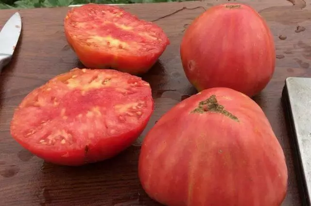 Pomodoro Pan di Zucchero: caratteristiche e descrizione della varietà, foto, recensioni di giardinieri, resa, video 3301_2