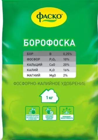 Бор за домати: листно подхранване, кога да се пръска, как да се прилага тор 3305_2