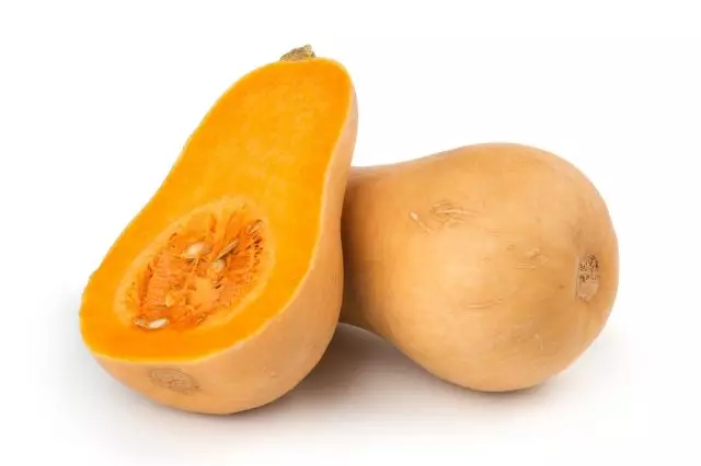 Butternut manhanga: tsananguro yemhando dzakasiyana, mapikicha, ongororo, kurima musango 3329_11