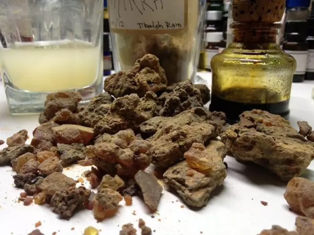 Propolis mengenai alkohol: apa yang membantu, resipi tingtur, cara pengambilannya 3573_1