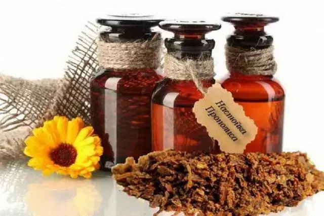 Propolis mengenai alkohol: apa yang membantu, resipi tingtur, cara pengambilannya 3573_11