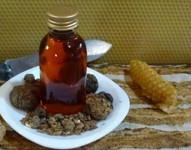 Propolis akan barasa: abin da ke taimakawa, girke -girke tincture, yadda ake ɗauka 3573_4