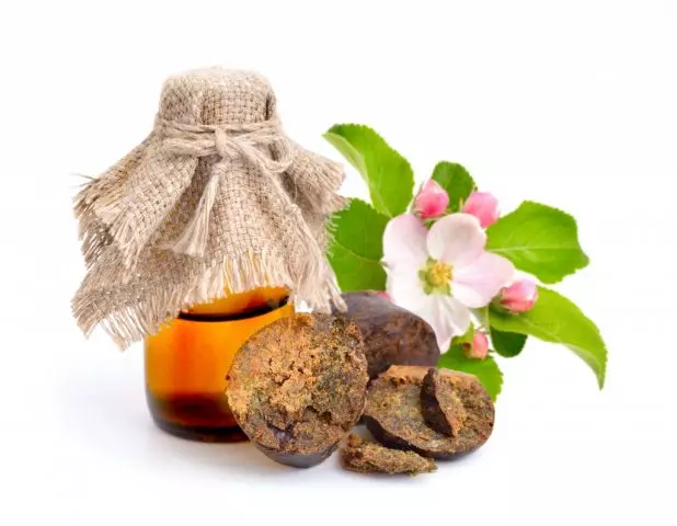 Propolis juu ya pombe: nini husaidia, mapishi ya tincture, jinsi ya kuchukua 3573_5