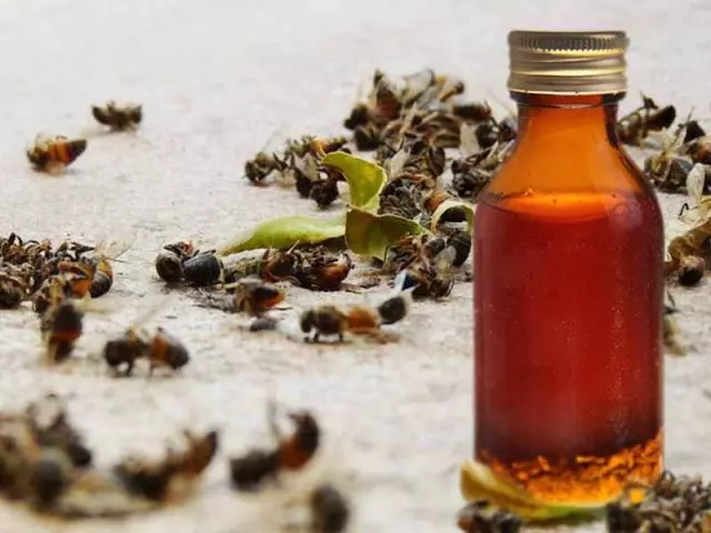 Propolis juu ya pombe: nini husaidia, mapishi ya tincture, jinsi ya kuchukua 3573_7