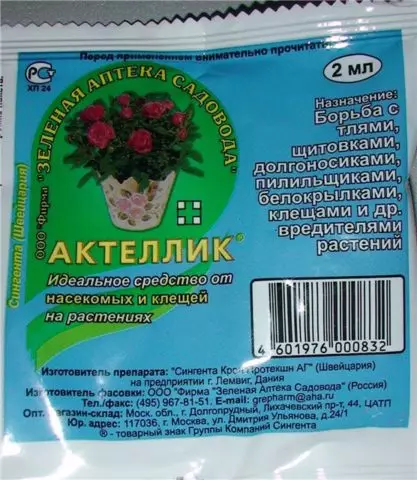 Cây lâu năm Lobelia: hình ảnh và mô tả về các giống, trồng và chăm sóc ngoài đồng, đánh giá 3716_19