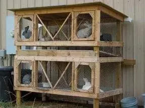 DIY bunk cages para sa mga rabbits 3953_3