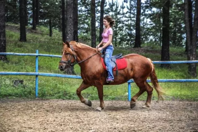 Lófajta orosz nehéz teherautó: leírás, fotók, vélemények 3983_5