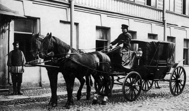 Trotter Orlov: fotografie, caracteristici, istorie 3988_3