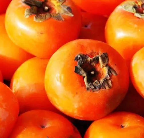 Persimmon: ແນວພັນແລະຊະນິດ, ຮູບທີ່ມີຊື່ແລະລາຍລະອຽດ 39_15