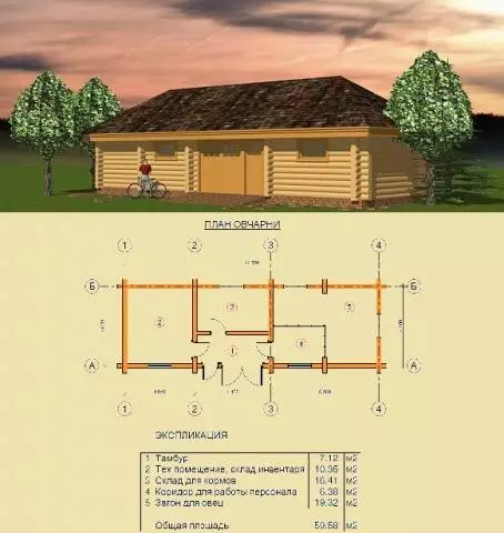 Creșterea oilor acasă pentru începători 4006_2