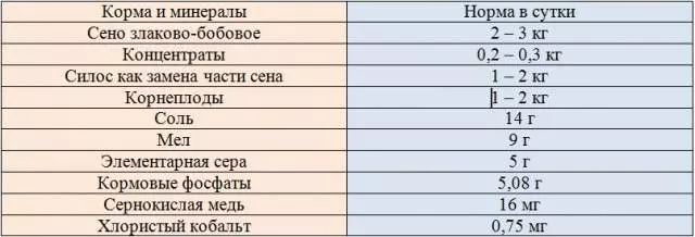 Εκτροφή προβάτων στο σπίτι για αρχάριους 4006_7