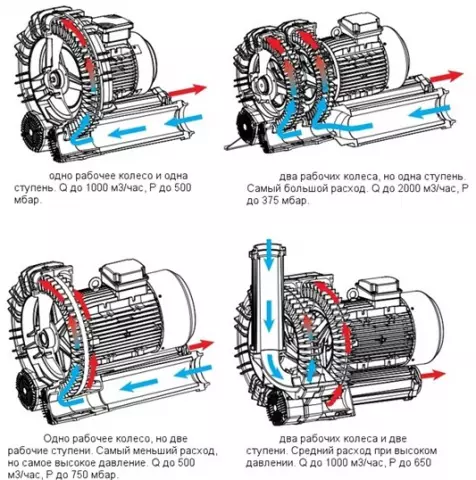 Vortex fifun: awotẹlẹ awoṣe, awọn abuda 4091_6