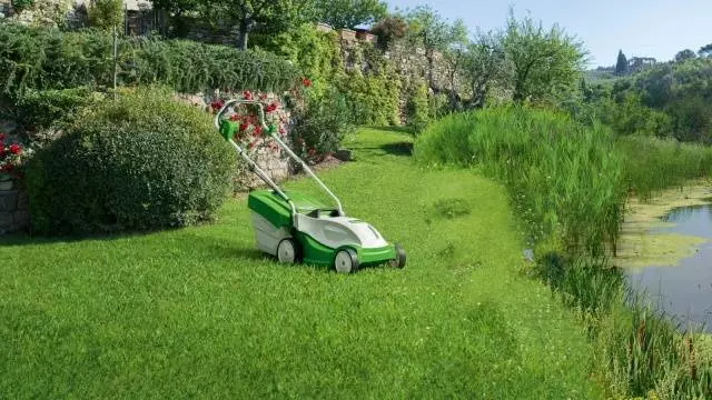 מכסחות דשא ויקינגיות: דגמים, מאפיינים 4126_10