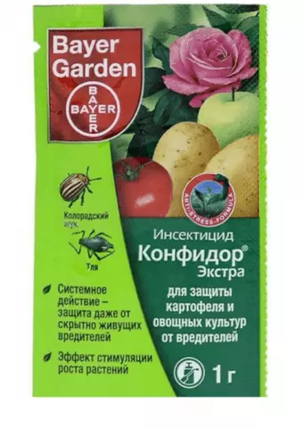 Aphids дар нок: чӣ гуна коркард кардан, пеш аз ва баъд аз гул кардан, бо меваҳо, аксҳо, чӣ бояд кард 4174_10