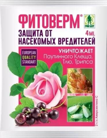 Rệp trên cây lê: cách xử lý, trước và sau khi ra hoa, đậu trái, ảnh, làm gì 4174_13