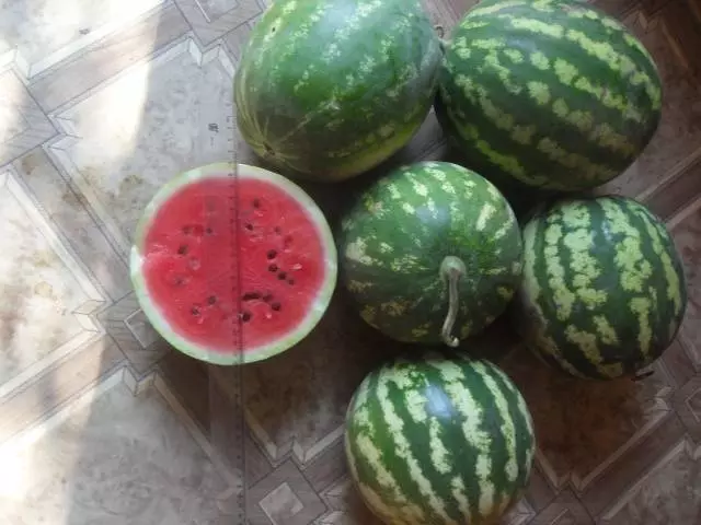 Watermelon Chill: iba't ibang paglalarawan, larawan, repasuhin 4269_5