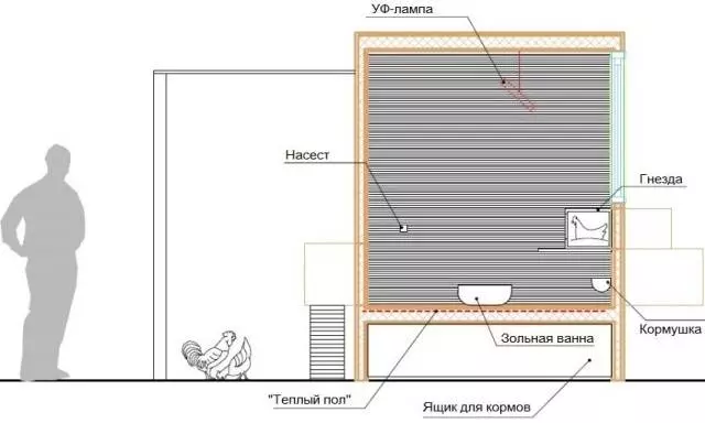 Чӯҷаи мурғии DIY барои 20 чӯҷа: зимистон 4273_13