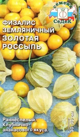 Physalis: fotoşəkilləri və təsvirləri olan növlər, rəylər 4319_41