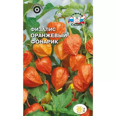 Physalis: fotoşəkilləri və təsvirləri olan növlər, rəylər 4319_7