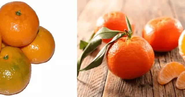 Clementine dan jeruk keprok: perbedaan, foto