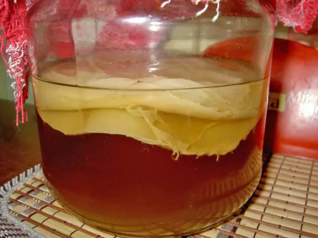 Yadda za a raba kombucha a gida: yadda ake yaduwa, yadda ake rarrabe Layer, dasawa cikin wani tulu, shin za ku iya yanke 4437_12