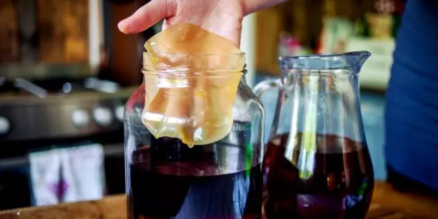 Paano hatiin ang isang kombucha sa bahay: kung paano magpakalat, kung paano paghiwalayin ang isang layer, itanim sa isa pang garapon, maaari mo bang i-cut 4437_7