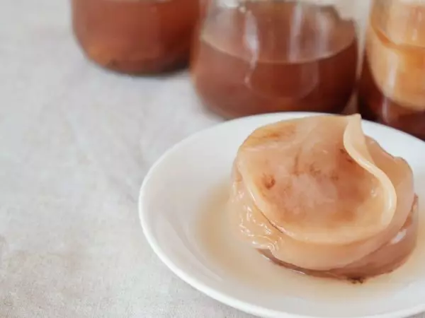 Paano hatiin ang isang kombucha sa bahay: kung paano magpakalat, kung paano paghiwalayin ang isang layer, itanim sa isa pang garapon, maaari mo bang i-cut 4437_8