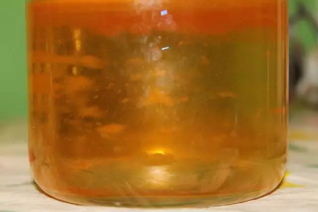 Tincture nke osisi buckthorn: vodka, mmanya, ọnwa 4458_19