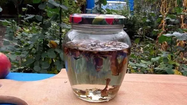 tincture ທະເລ buckthorn: ວອດກ້າ, ເຫຼົ້າ, moonshine 4458_5