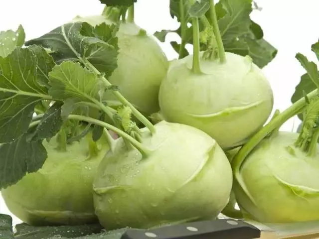 Lakër kohlrabi turshi 4495_1