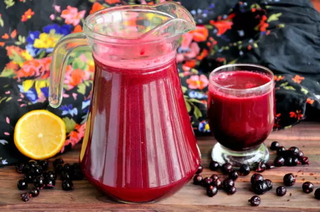 Blackcurrant fruit drink: benefits and harms, how to cook, recipes 4528_12