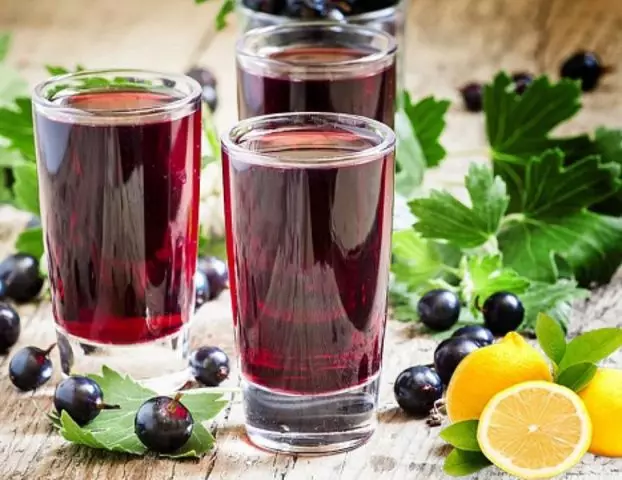 Blackcurrant फल पेय: लाभ र हानि, कसरी पकाउने, व्यञ्जनहरु 4528_6